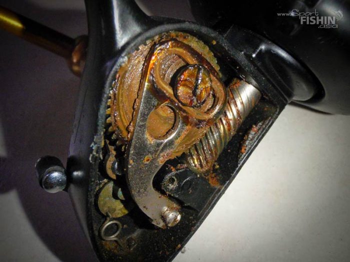 How to Rig for Bottom Fishing - Ledgering / Running Ledger - Sport ...