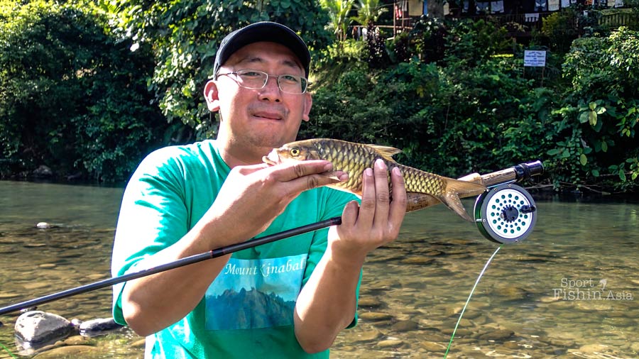 Fly Fishing for Mahseer in Babagon Sabah [video] - Sport Fishing Asia