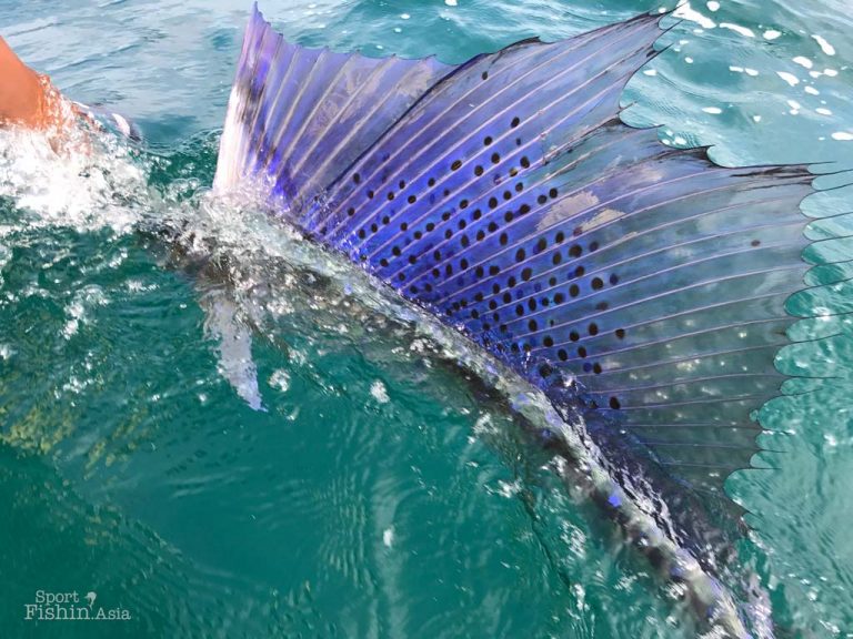 Fishing Photography - Sport Fishing Asia