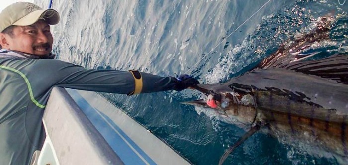 How to Rig for Bottom Fishing - Ledgering / Running Ledger - Sport ...