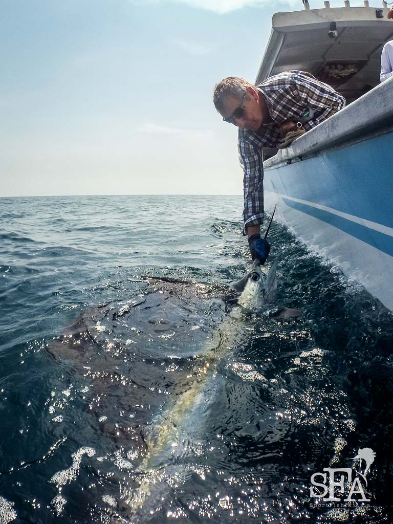 New Zealand Family Pursuit - Sailfishing with Michelle Jane, Des and ...