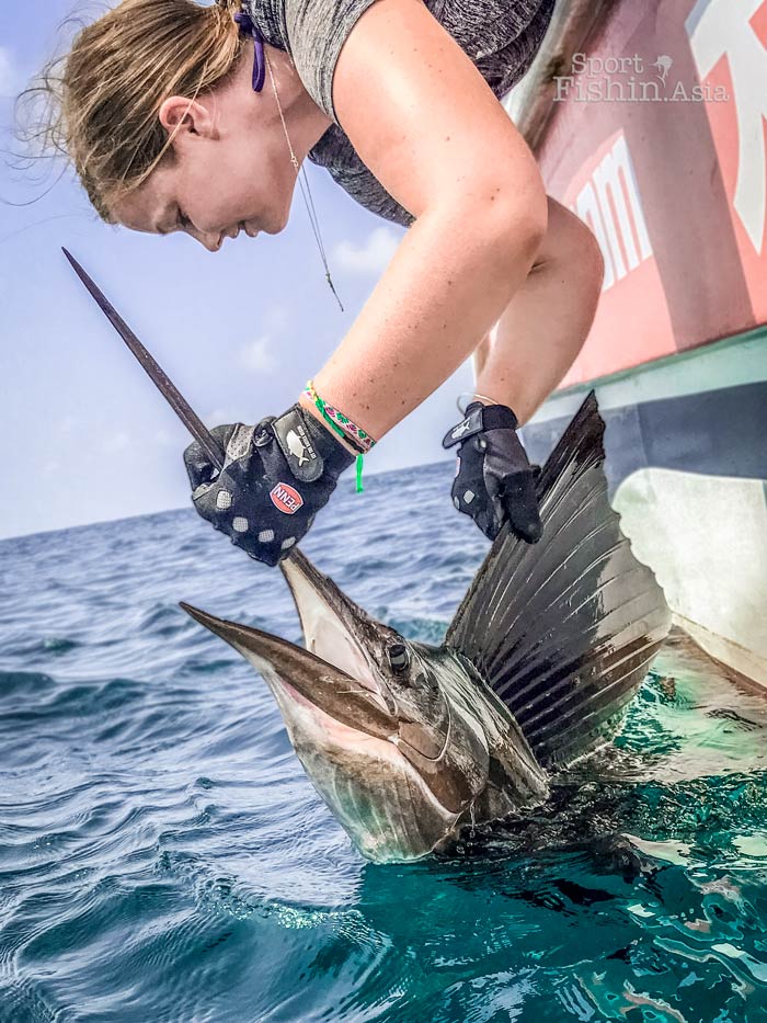 One Day Sailfishing Adventure With Bryce and Emily [video] - Sport ...