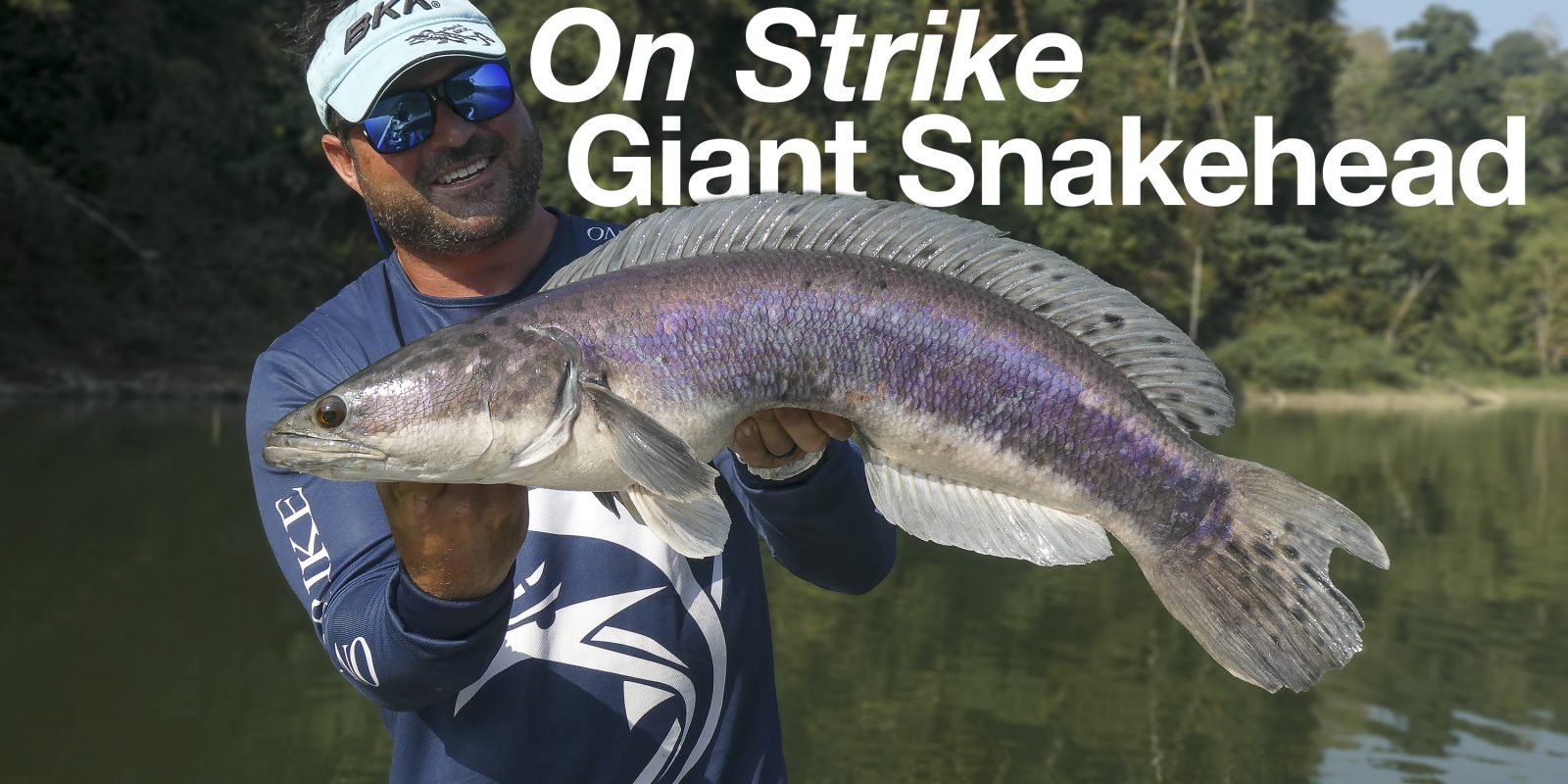 Giant Snakehead (Toman) Archives - Sport Fishing Asia