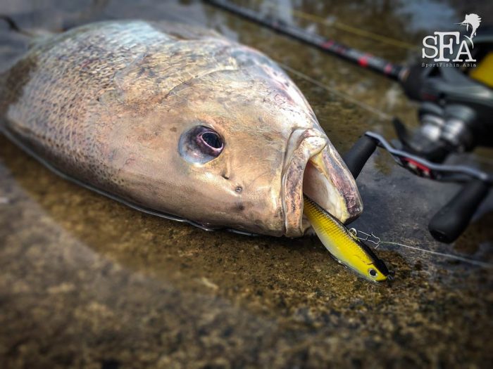 How to Rig for Bottom Fishing - Ledgering / Running Ledger - Sport ...