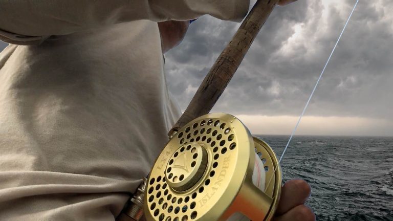 How to Rig for Bottom Fishing - Ledgering / Running Ledger - Sport ...