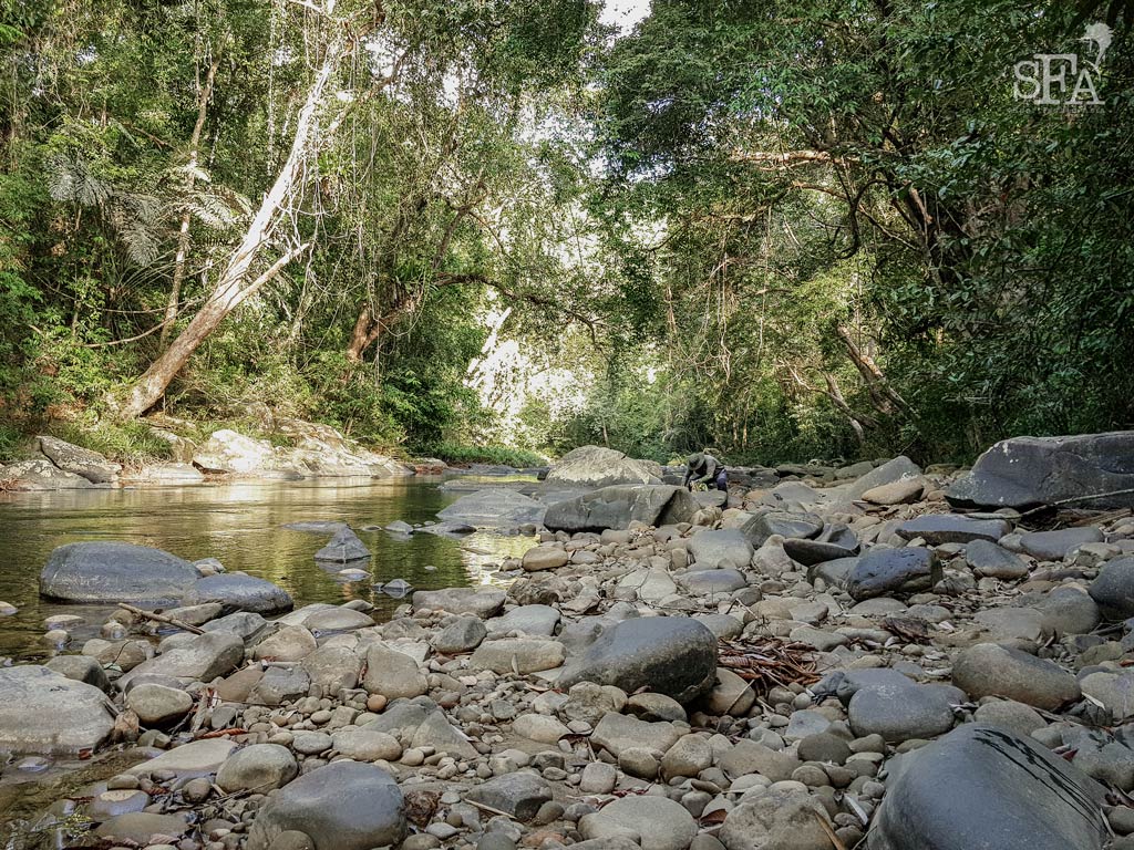 Mahseer and Sebarau Fishing in Sabah Borneo - Sport Fishing Asia