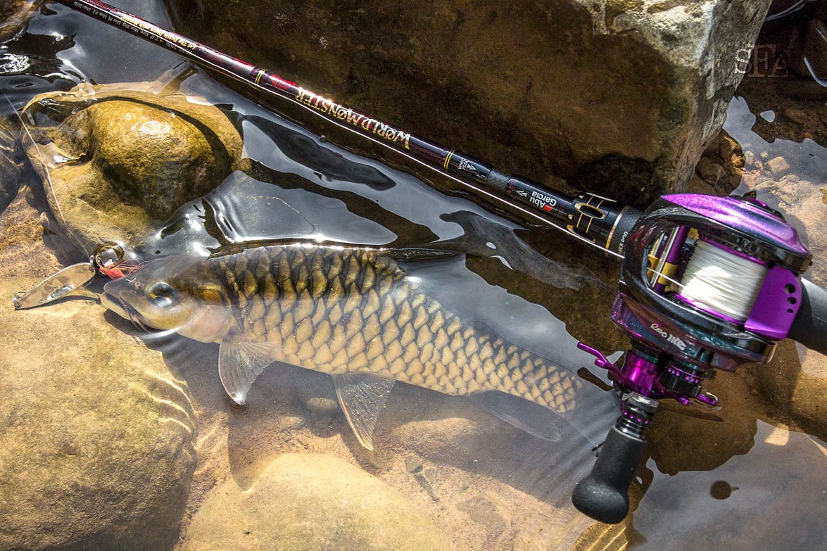 Mahseer and Sebarau Fishing in Sabah Borneo - Sport Fishing Asia