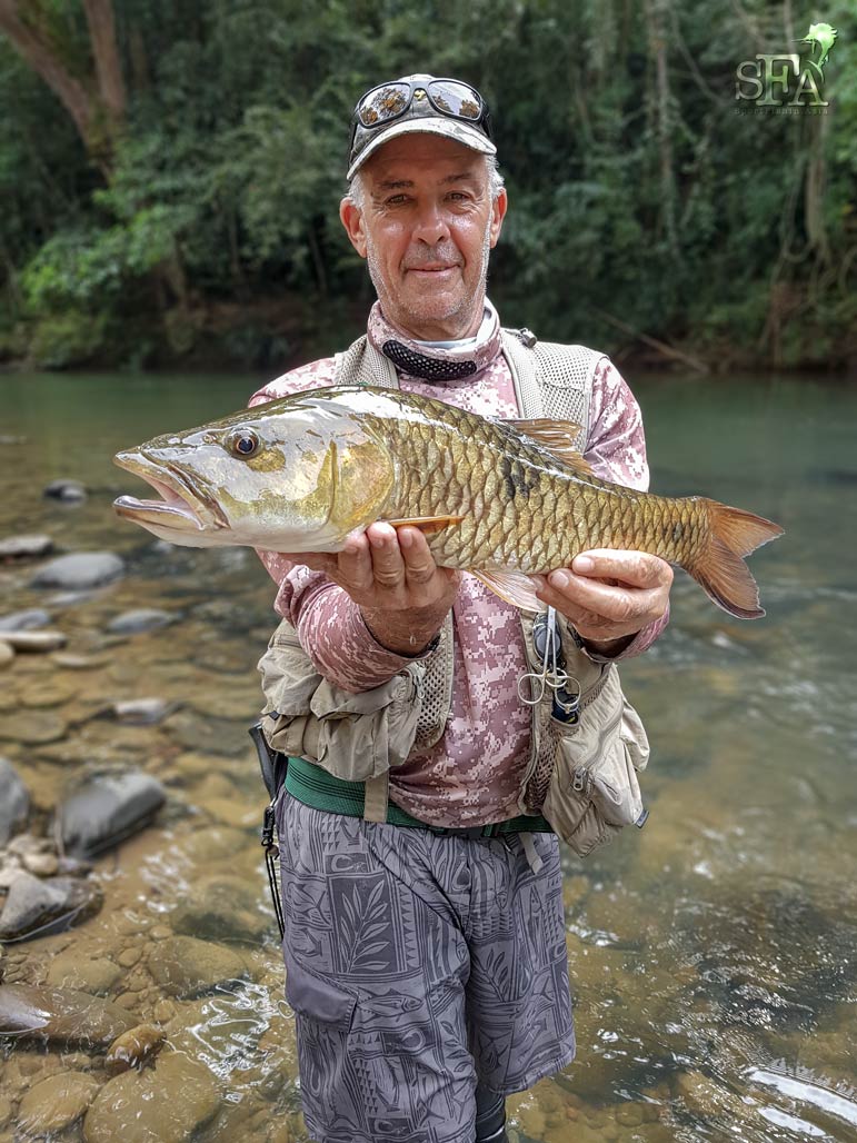 Mahseer and Sebarau Fishing in Sabah Borneo - Sport Fishing Asia