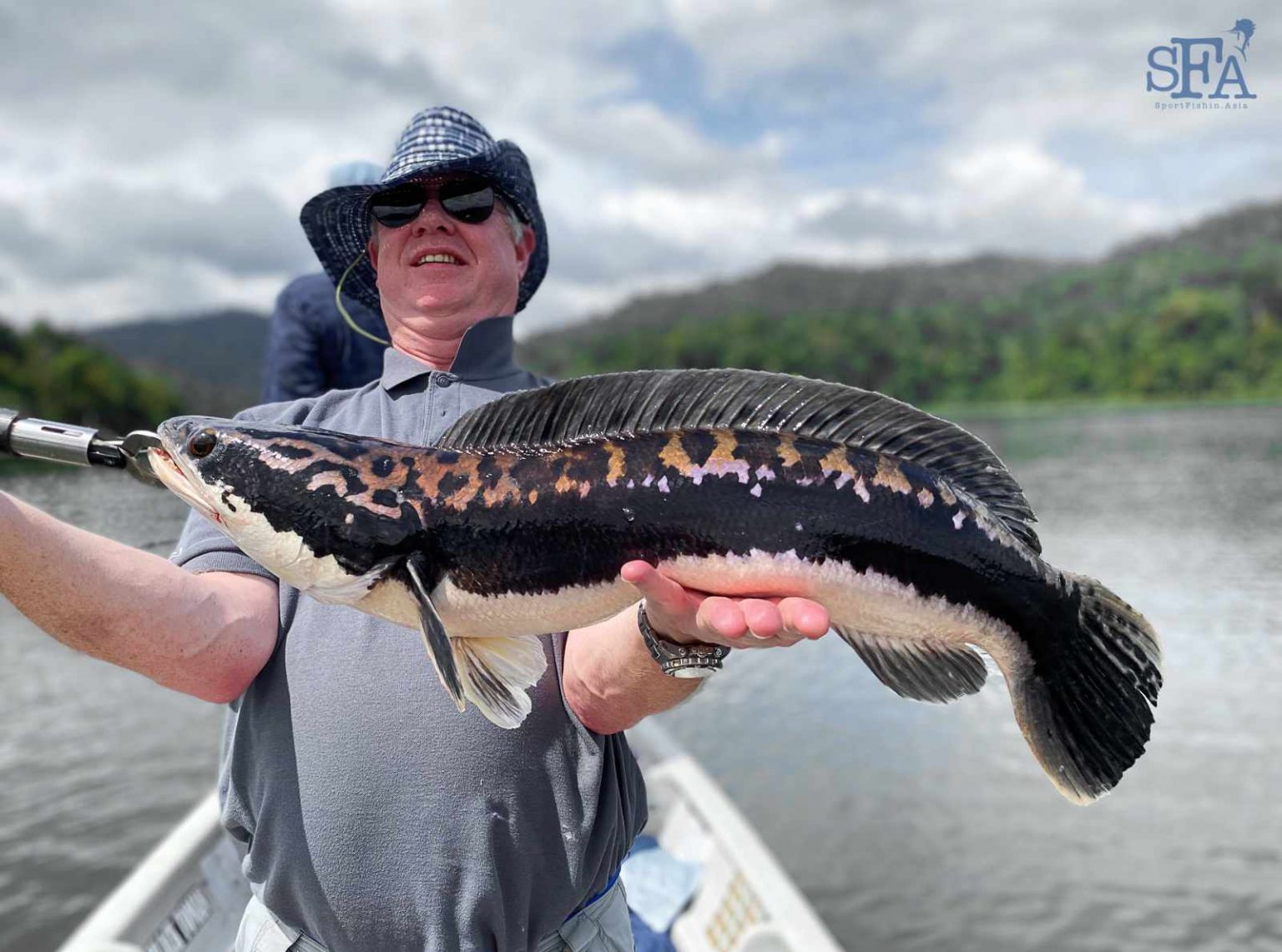 Toman (giant snakehead) Fishing Malaysia - Mark and Warren’s Rainforest ...