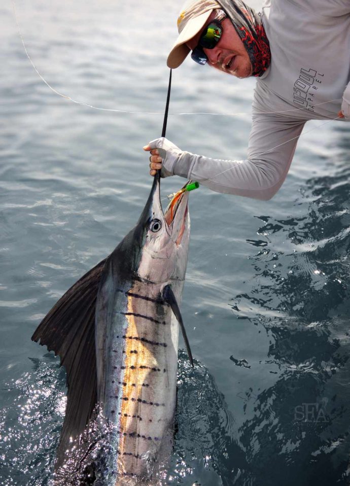 Fly Fishing for Sailfish in Kuala Rompin Malaysia - Sport Fishing Asia