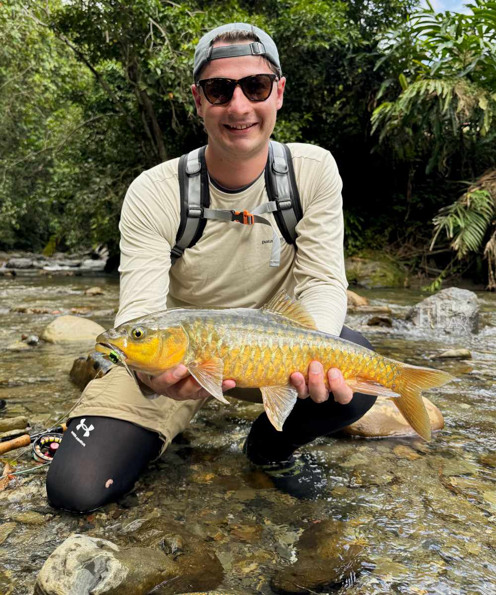 Mahseer and Sebarau Fishing in Sabah Borneo - Sport Fishing Asia