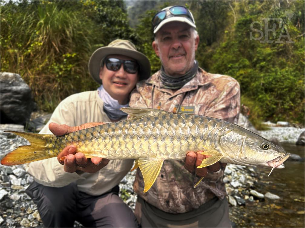 Fishing in Bhutan for Golden Mahseer and Chocolate Mahseer - Sport ...
