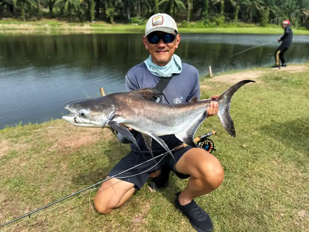 Exotic Fishing Park Batu Arang – Quick Thoughts - Sport Fishing Asia